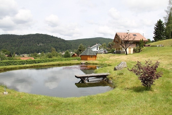Air-conditioned Centaury Chalet Rémy Herold - Xonrupt-Longemer