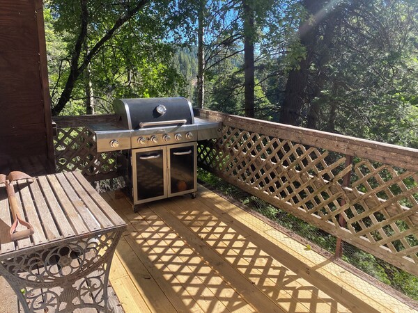 Elk Trail Lookout- Tranquil Cabin With Wifi- 2 Bedrooms Available - New Mexico