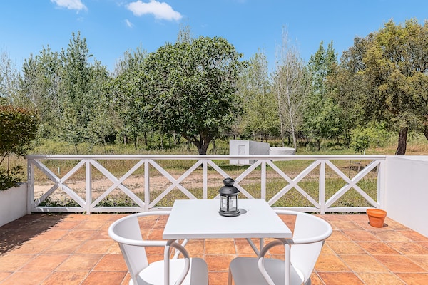 Apartment 'Ti Joaquim - Suite Deluxe' With Shared Pool, Wi-fi And Air Conditioning - Melides