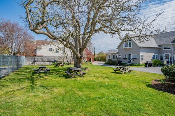 Cape Cod Escape Walk To The Beach And Pool Access - Cape Cod Museum Of Natural History