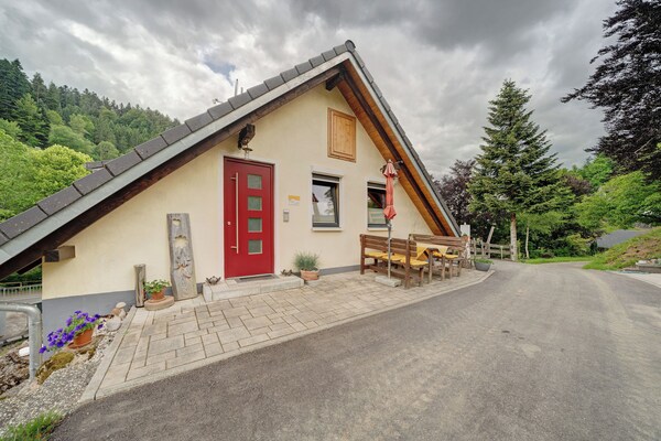 Appartement "Spätzle Mit Sauce" Avec Terrasse Partagée Et Wi-fi - Schiltach