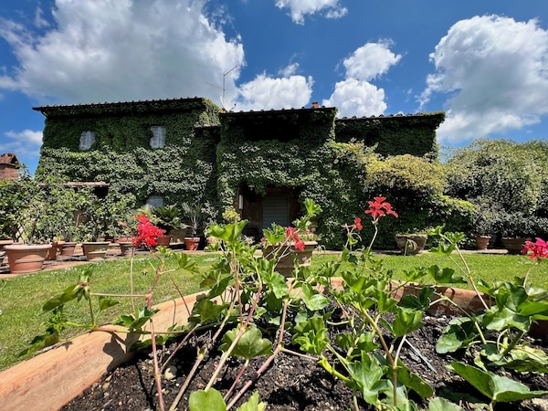 Villa Elena Tuscany - Pool And Garden Arezzo - Ihh - Arezzo