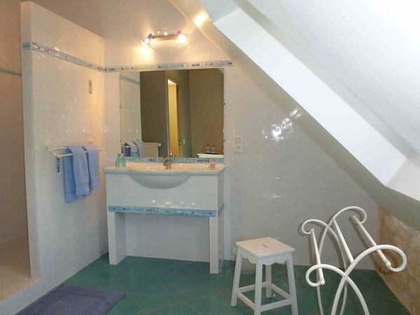 Chambre D'hôte De Luxe Au Cœur Des Châteaux De La Loire Proche Du Zoo De Beauval - Loches