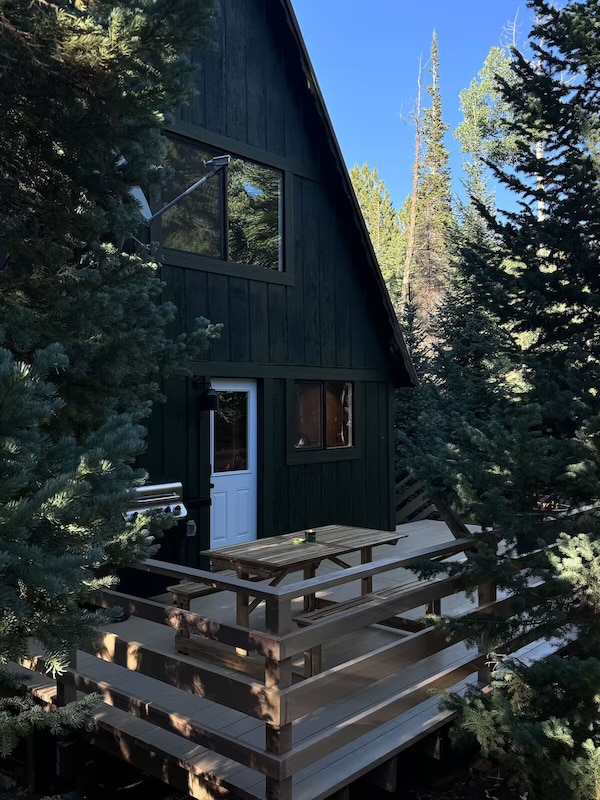 Duck Haus  A-frame Cabin In The Trees - Utah