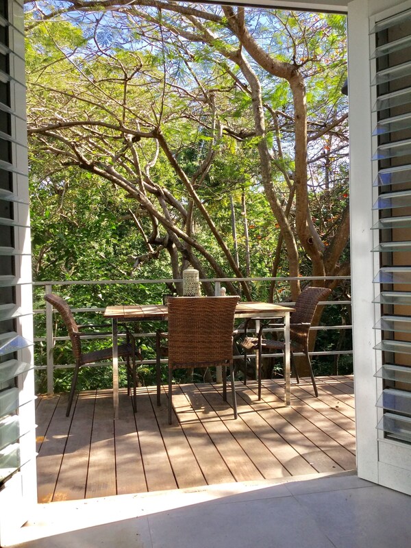 2 Bedroom 1 1/2 Bath Charming In Town Apartment With Great Jungle View Deck! - Vieques