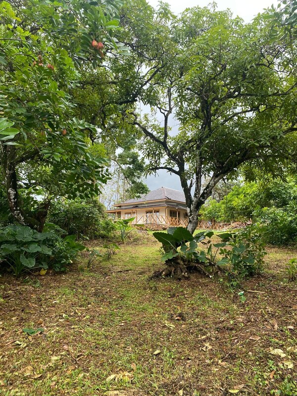 Charming 3 Bedroom Cottage With Wifi, Ac In Marvelous Boston Bay, Blackrockvilla - カリブ諸島