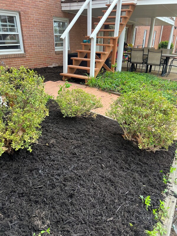Well Kept, Clean, One Bedroom Guest Suite In Charming Cumberland Md - Cumberland, MD