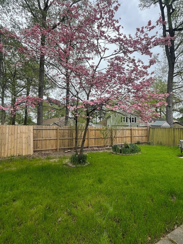 Charming Spacious 4-bedroom House With Wifi And Ac In Beautiful Virginia Beach - Virginia Beach, VA