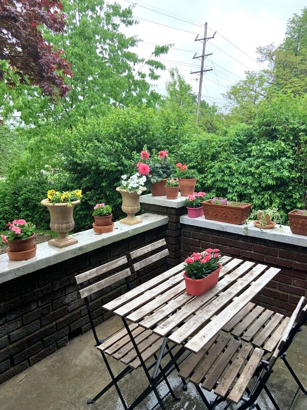 Cozy Cottage On Main. Halfway Between The Ark And Creation Museum! - Kentucky