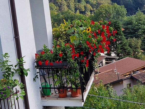 3-bedroom Apartment In Gorgeous Dizzasco With Wifi - Lugano