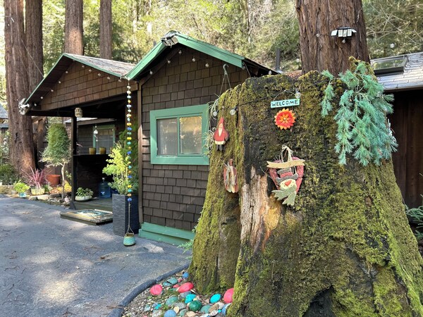 New_historic Santa Cruz Redwoods Retreat_1br Cabin On A Serene Creekside Acre - Felton, CA