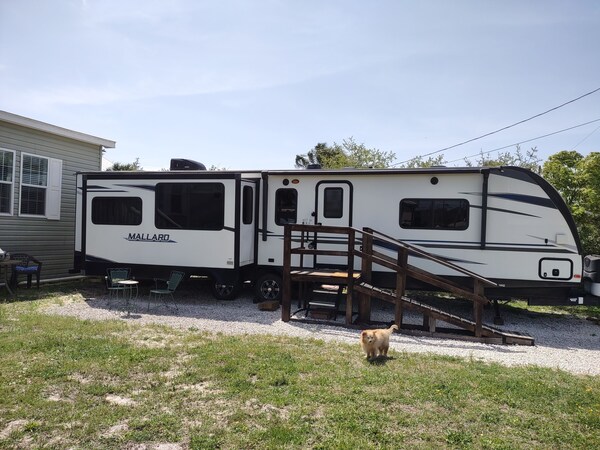 Port Saint Joe 1/1 Trailer That Sleeps 4, Only 2 Blocks To Beach -Pet Friendly! - Mexico Beach, FL