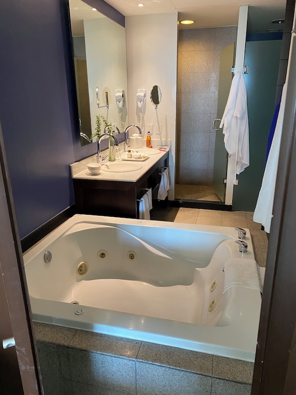 Vidanta Nuevo Vallarta 2-bedroom Luxury On The Beach, Gondola To New Theme Park - Nuevo Vallarta