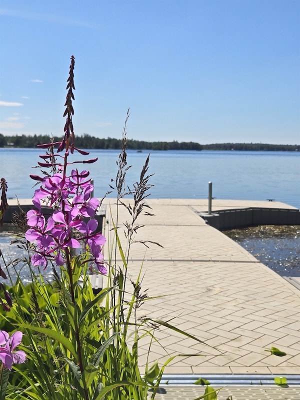 7 Lakefront Cottages And Event Space In The Heart Of Wasilla - Alaska