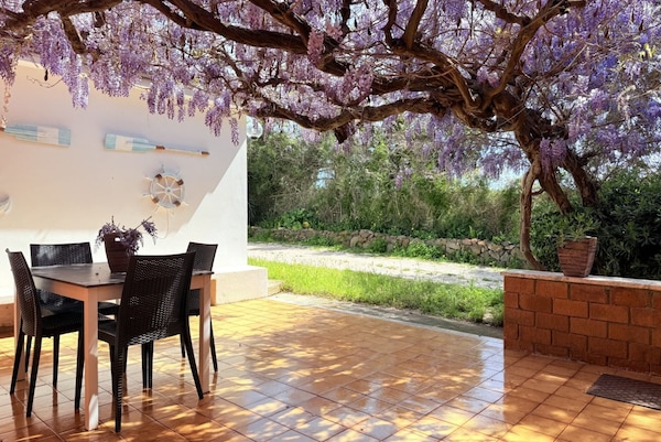 Glicine, Quiet House In Orosei - Orosei