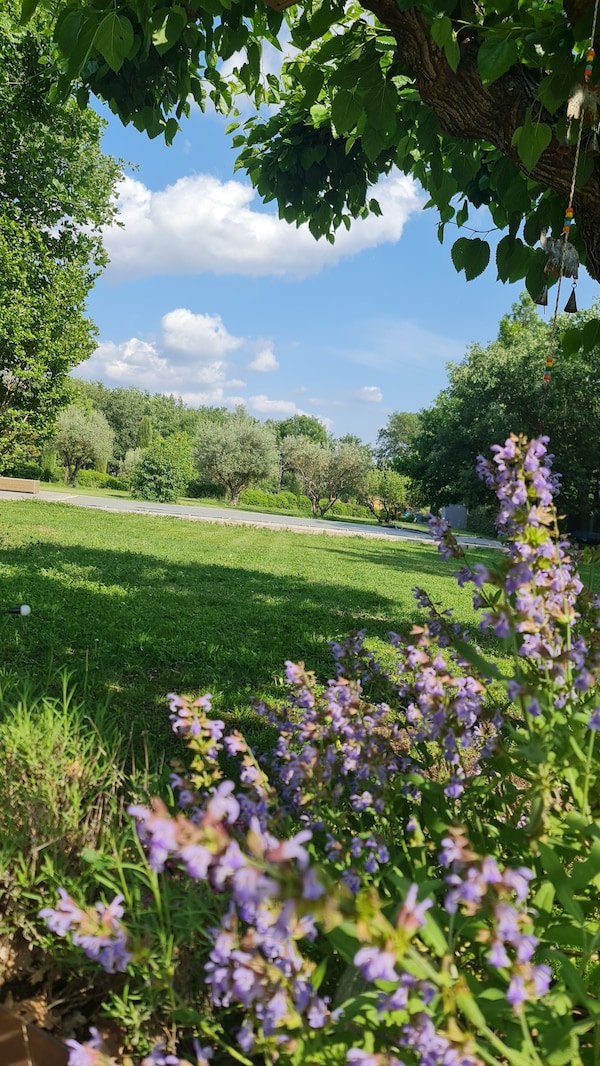 House On The Gordes Plain With 3500m2 Of Wooded Grounds And Swimming Pool. - Gordes