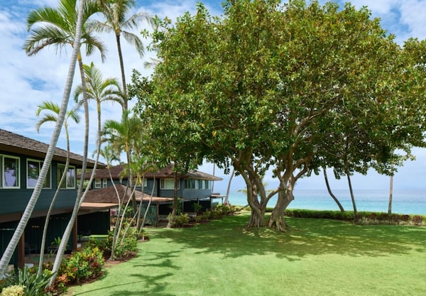 Relax To The Sound Of Waves In This Oceanfront Studio With Beach Access - Lahaina, HI