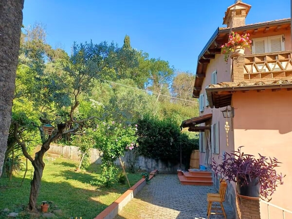 Three-story Villa With Garden And Olive Grove At The Complete Disposal Of Guests - ピエトラサンタ