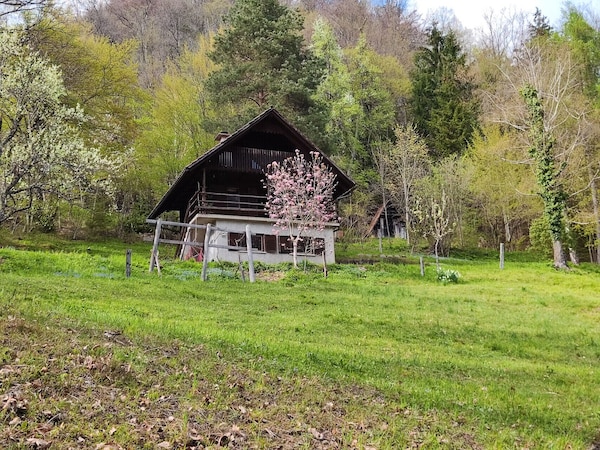 Polhek - A Charming Countryside Cottage - 斯洛維尼亞
