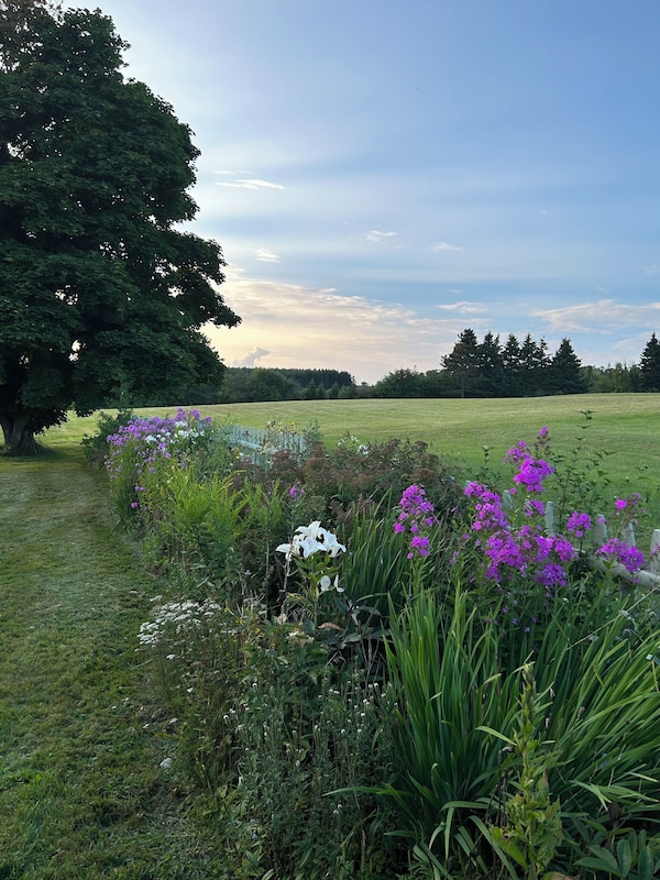 Charming 3-bedroom Home W/ Wifi, Ac In Adorable Hampton-victoria By The Sea - Prince Edward Island