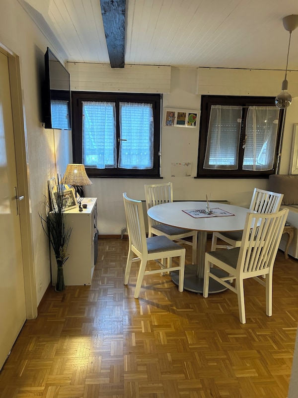 Cosy Studio With Views Of Lake Geneva And Mont Blanc - Vaud