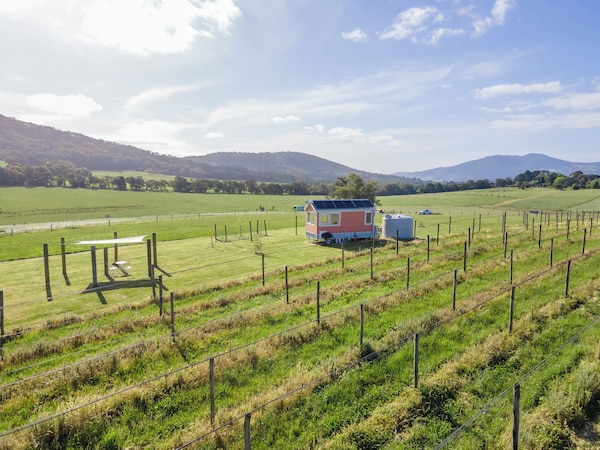 Warburton Tiny House - Warburton