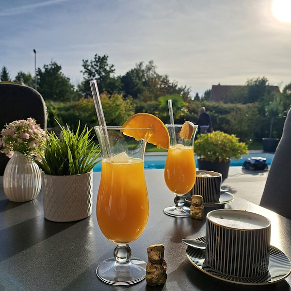 'Exklusive Villa Schaffner' Mit Privatem Pool, Sauna, Whirlpool, Terrasse Und Wi-fi - Sassenberg