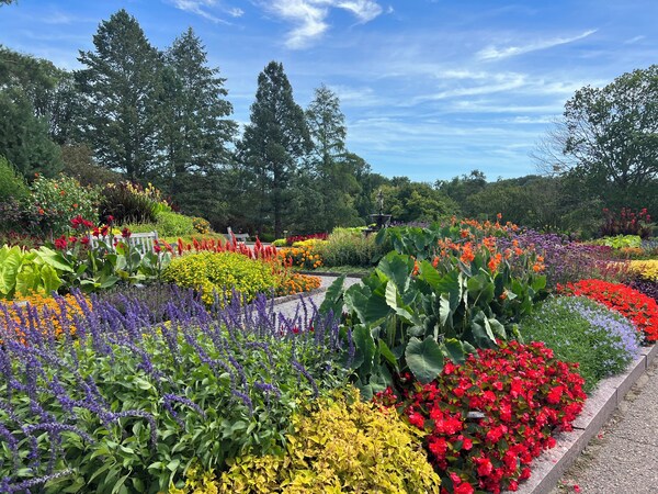Explore Shakopee: Room With Full Kitchen Near Landscape Arboretum - Eden Prairie, MN