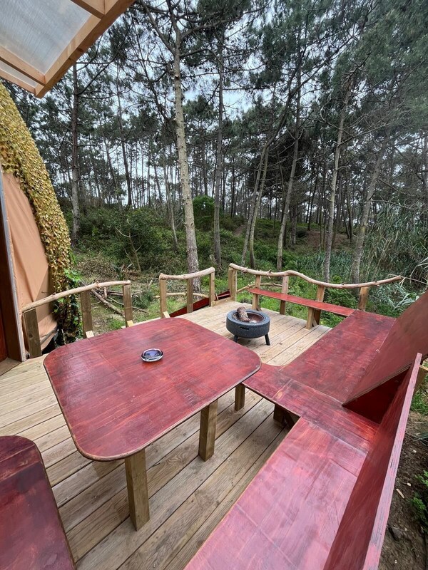 Unique Geodesic Dome In A Beautiful Natural Park - 埃里塞拉