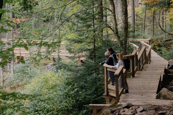 The Serene Summary:<br>t - Rawdon