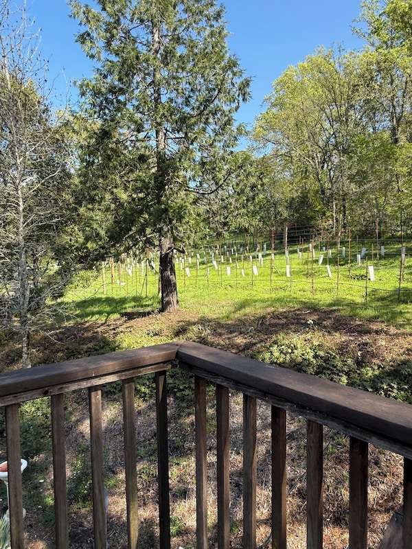 Cozy Vineyard Studio In Welcoming Healdsburg With Wifi, Ac, Fireplace, Jacuzzi - Healdsburg, CA