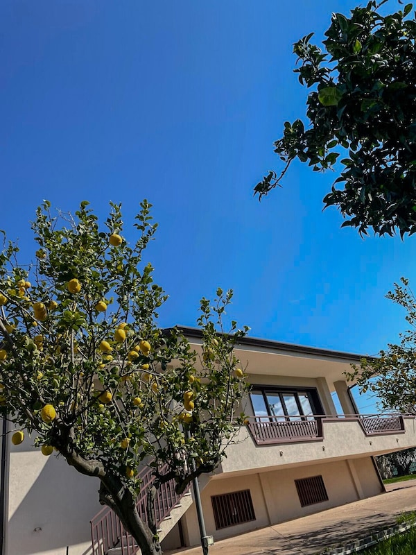 Villa The Scent Of Oranges - Campagna