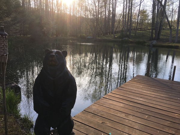 Romantic Cabin On Horse Farm Just 6 Miles Away From Historic Downtown Dahlonega, - Dahlonega, GA