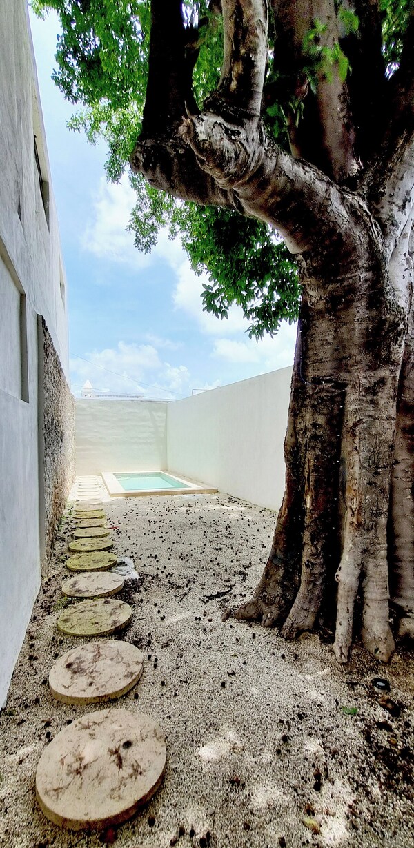 Casa Guaya, Refugio Ideal Para Disfrutar Mérida - Mérida