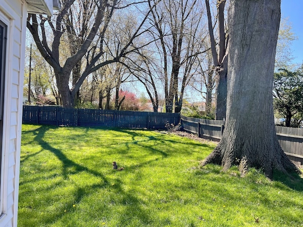 New Lakeside Cottage- Lake View And Beach Nearby! - Erie, PA