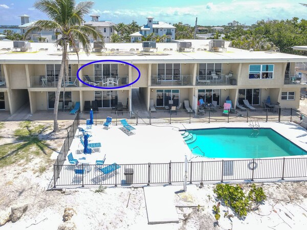 Direct Oceanview, Small Beachfront Resort, Open Tomorrow Night, $100\/nt! - Longboat Key, FL