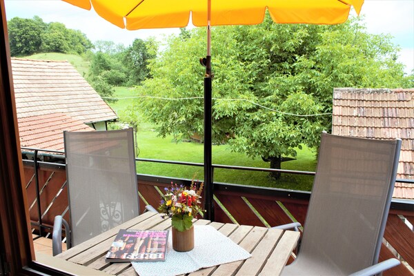 Ferienwohnung 'Große In Altem Hofgut' Mit Balkon Und Wi-fi - Engen