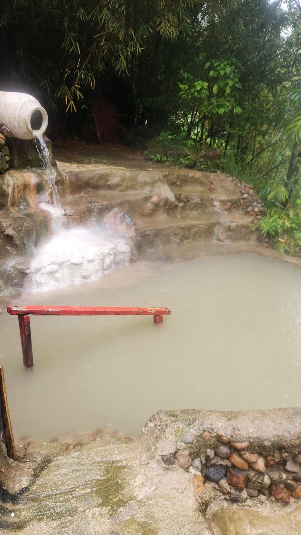 "Back 2 Eden" Home With Free Wifi, Mountain Views & Close To 3 Mineral Hot Spas - Dominica