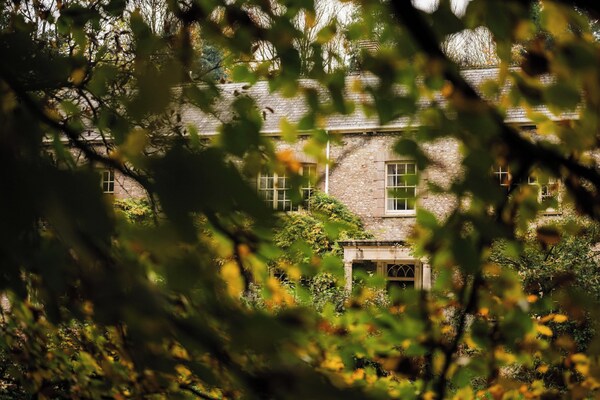 Spacious Cottage Perfect For Countryside Escape And Exploring The Jurassic Coast - Devon