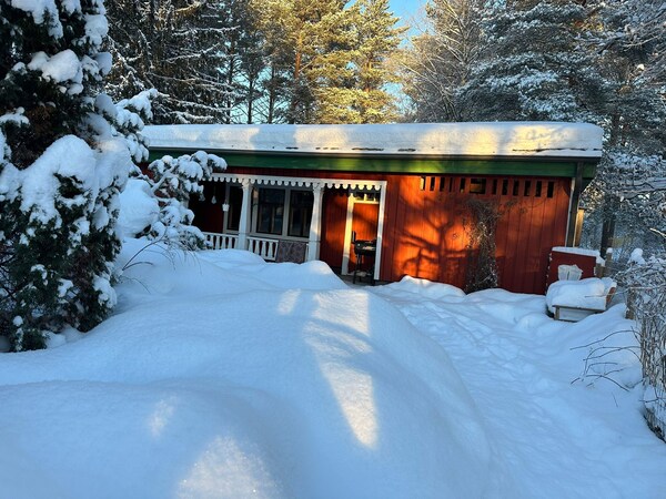 Riverfront Chalet With Sauna, Jacuzzi, Rowing Boat, Pets Allowed - Äänekoski