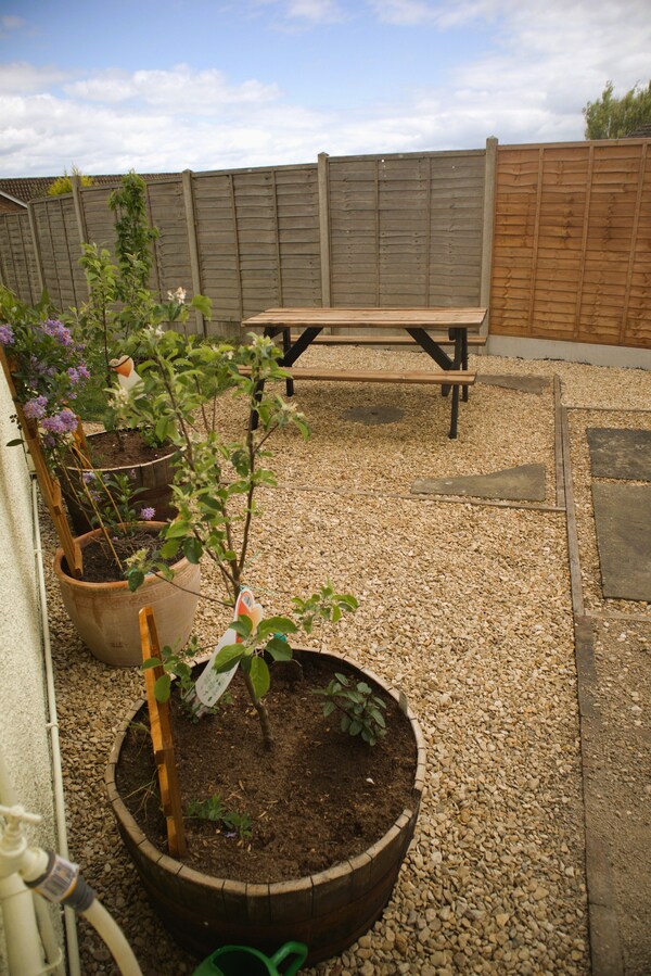 A Forest Cottage At The Centre Of Woodlands Bike Trails And Much More. - Herefordshire