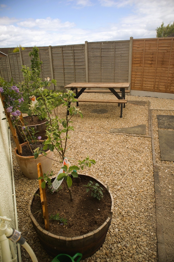 A Forest Cottage At The Centre Of Woodlands Bike Trails And Much More. - Herefordshire