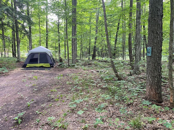 Tent W/ Mattresses On Private Wooded Camp Site #4 - Michigan