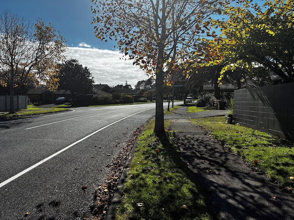 Cosy One-bedroom Ensuite In A Central Location Lovely Surroundings Total Privacy - Auckland