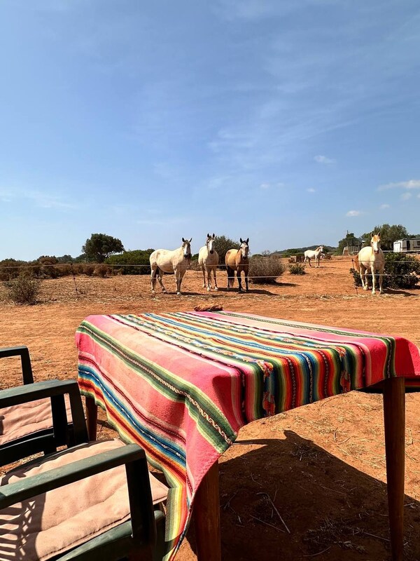 Caravane Michas Pour 2 Observez Le Troupeau De Chevaux Depuis Votre Lit - Algarve