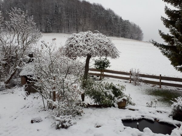 Idyllically Situated Vacation Apartment "Himmelswiese" Lichtenstein - Pfullingen