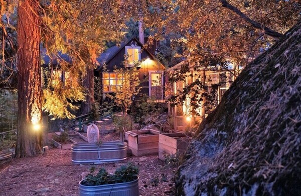 Secluded Mystical Cabin In Idyllwild-pine Cove - アイディルワイルド＝パイン・コーブ, CA