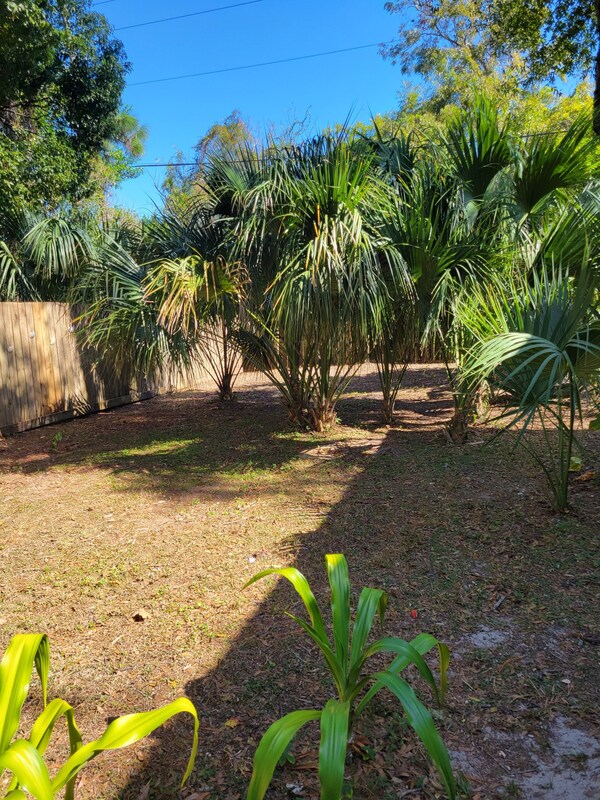 Freshly Renovated Mobile Home In Mermaid Style, 5 Minutes To The Beach. - Carrabelle, FL