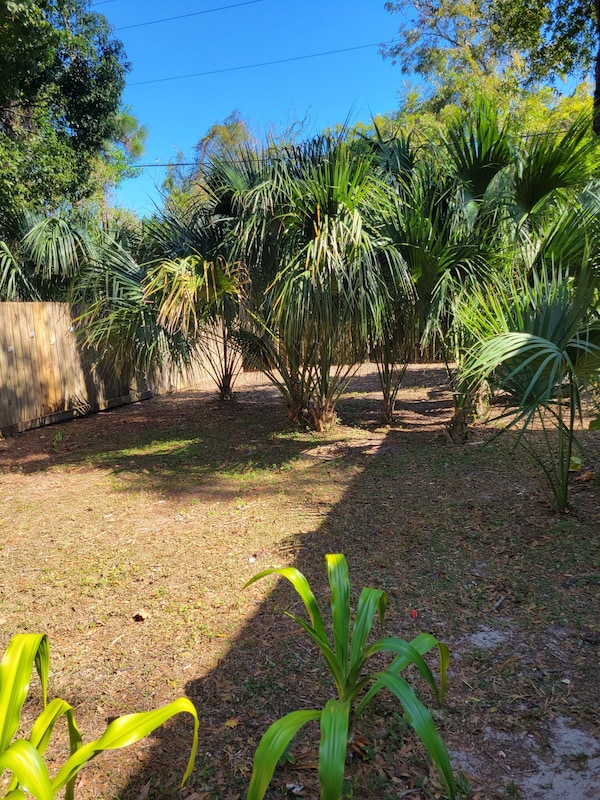 Freshly Renovated Mobile Home In Mermaid Style, 5 Minutes To The Beach. - Carrabelle, FL