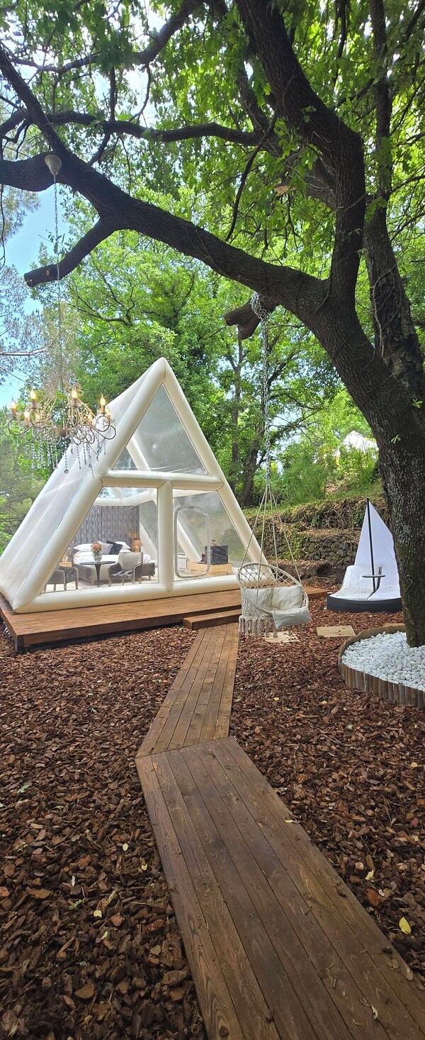 Bubble Glamping Sicily Have You Ever Slept Inside A Bubble Under The Stars - Milo
